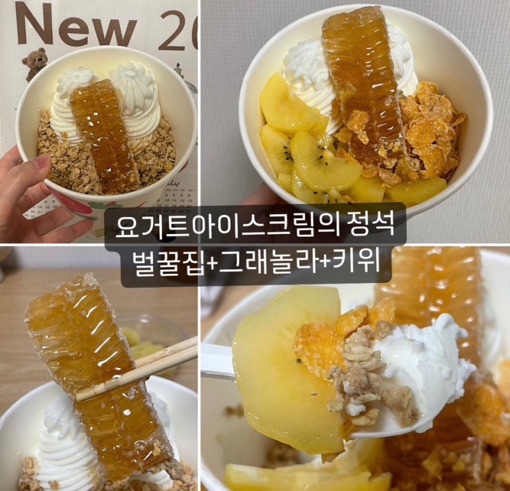 요거트 아이스크림의 정석요아정 의정부역점 배달 디저트 추천 꿀조합벌꿀집 그래놀라 키위 내돈내산 후기 네이버 블로그