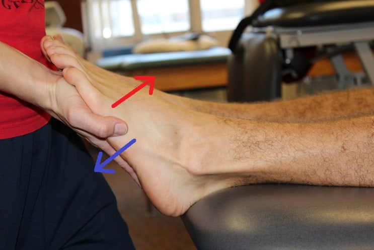 Manual Muscle Testing of Ankle : 네이버 블로그