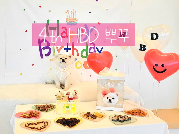 4th HBD 뿌꾸｜벌룬박스와 회전 케이크로 꾸민 생일상에 강아지 화동 드레스로 마무리 한 네 번째 생파 : 네이버 블로그