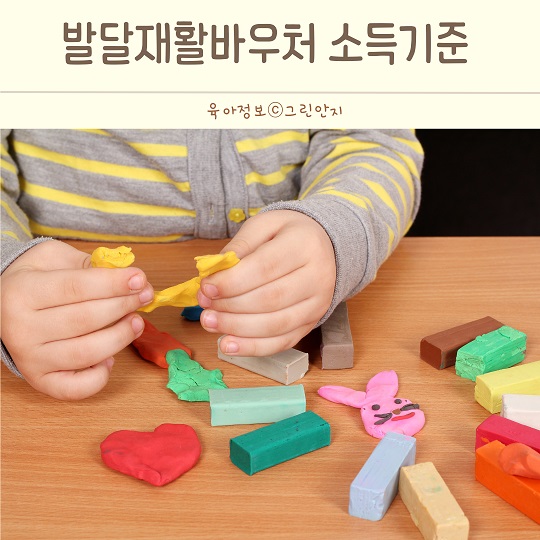 발달재활바우처 소득기준 발달지연 서비스 지원 신청 서류 본인부담금 네이버 블로그
