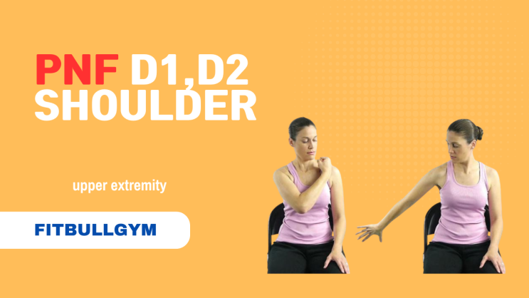 PNF D1,D2 Upper (Shoulder) : 네이버 블로그