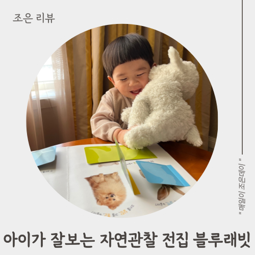 블루래빗 잘보는 자연관찰 전집 플랩북 부록도 재밌어요 네이버 블로그