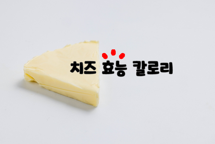 치즈효능 치즈한장 칼로리 체다치즈 유통기한 네이버 블로그