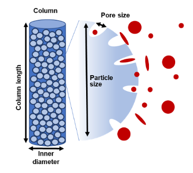 HPLC, 대략적인 단백질과 펩타이드 분석 (column의 particle size and pore size) : 네이버 블로그