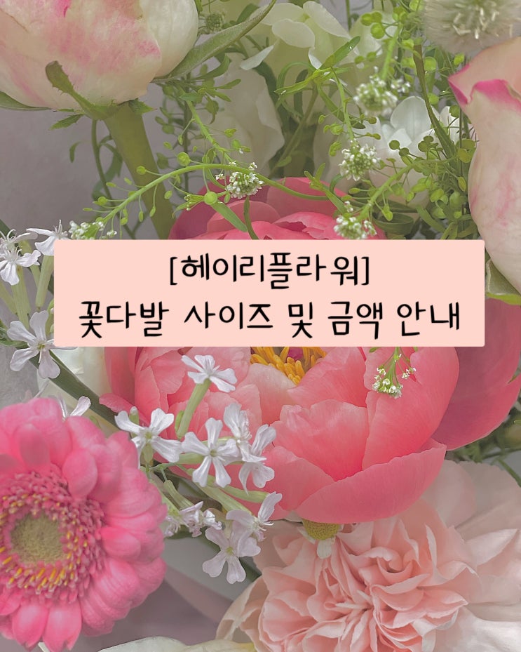 2024 헤이리플라워 꽃다발 사이즈 및 금액 안내 대구 북구 꽃집 헤이리플라워 추천 네이버 블로그