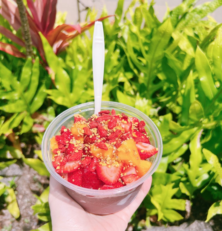 빅아일랜드 아사이볼 하와이 맛집 코나 바식 아사이Basik Acai : 네이버 블로그