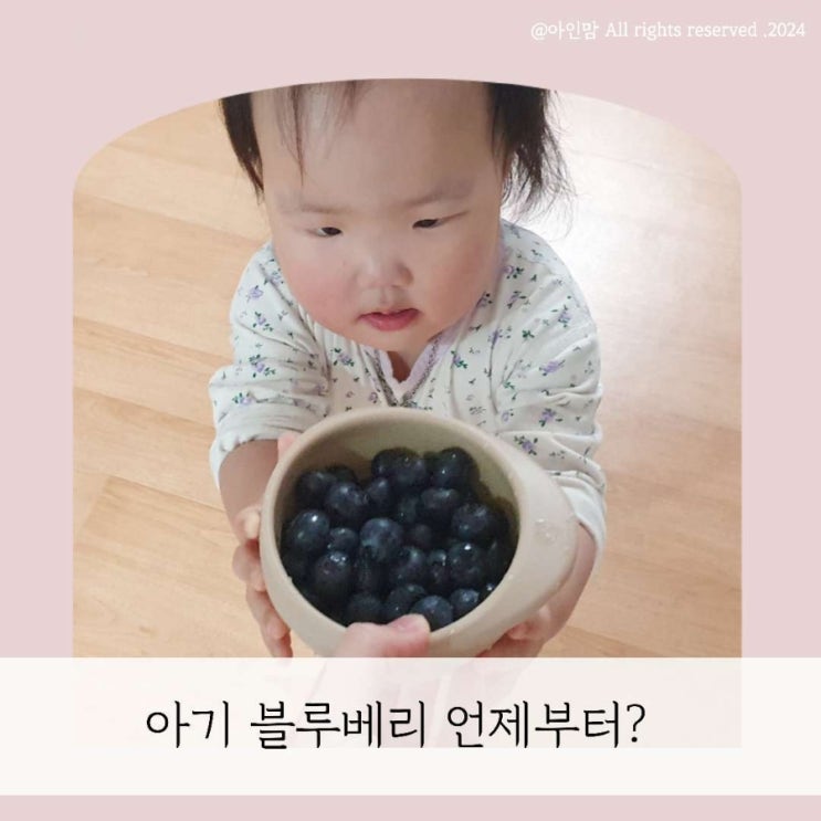 아기 블루베리 언제부터 권장량 세척방법 알아봐요 네이버 블로그