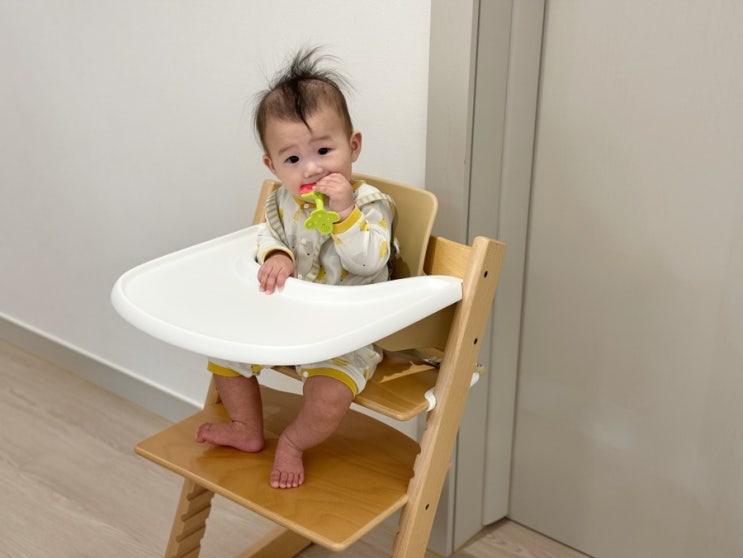 원목아기식탁의자 추천 스토케트립트랩 내추럴 색상 사용시기 및 리뷰 네이버 블로그