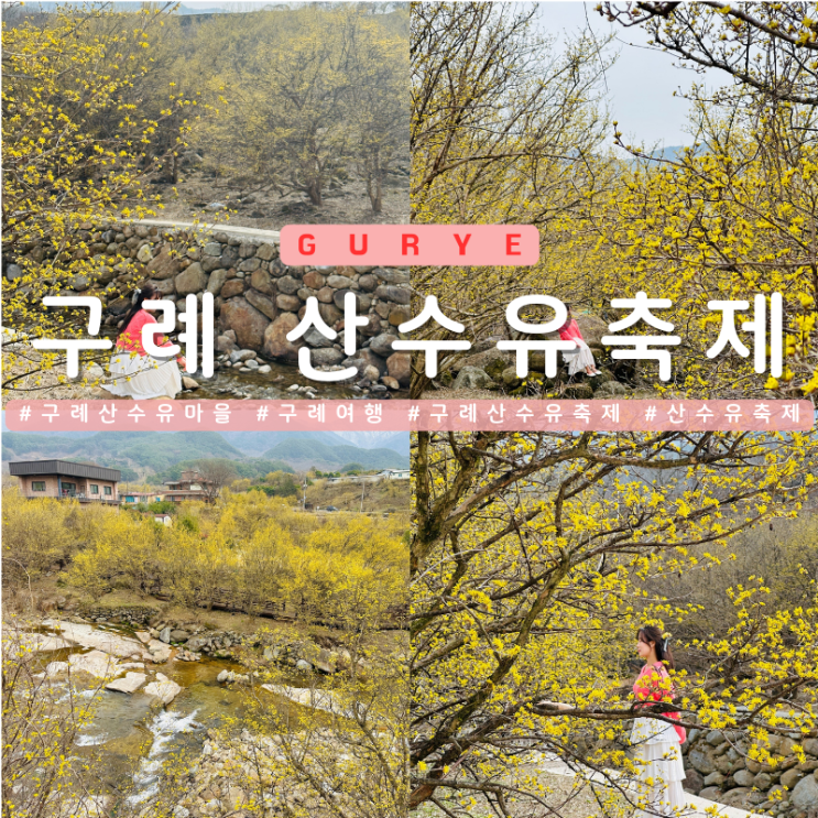 구례 가볼만한곳 산수유축제 기본정보 산수유마을 개화상황 및 주차 네이버 블로그