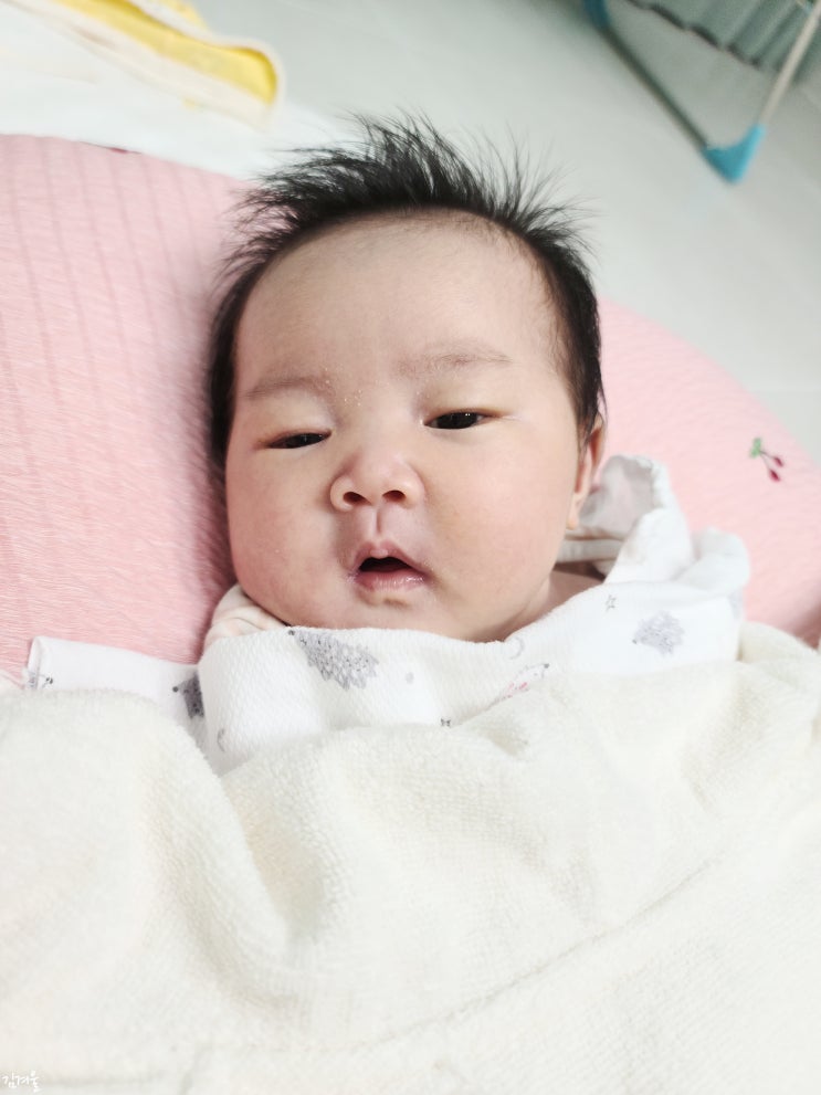 신생아 분유량 계산 분유양 신생아 수유량 수유텀 분유 모유 혼합수유방법 네이버 블로그