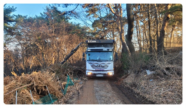 평택폐기물임목폐기물처리 안전한 작업이 우선인 현장으로 반드시 전문 업체로 네이버 블로그