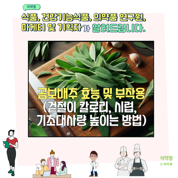 곰보배추 효능 및 부작용 겉절이 칼로리 시럽 기초대사량 높이는 방법 Part2 네이버 블로그