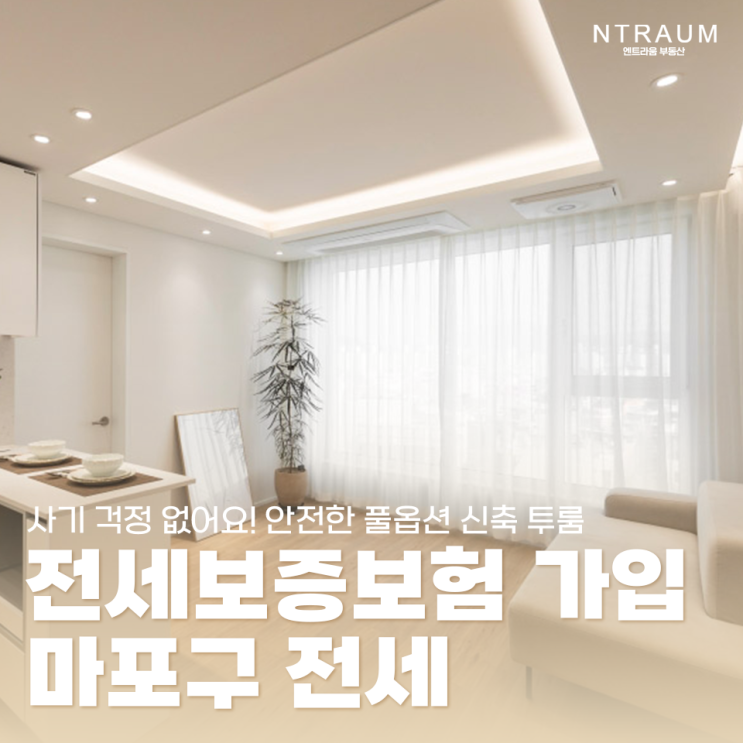 마포구 전세 보증보험 가입 가능한 안전한 풀옵션 신축 투룸 네이버 블로그