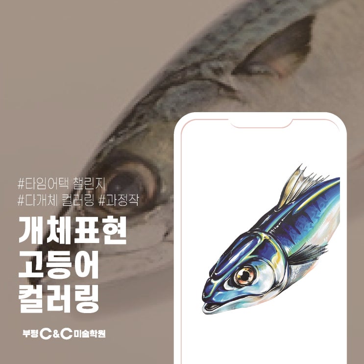중등반 중3미대입시반 고등어 개체 표현 부평 Candc미술학원 미술학원 중등 미술 수업 씨앤씨미술학원 인천 부평