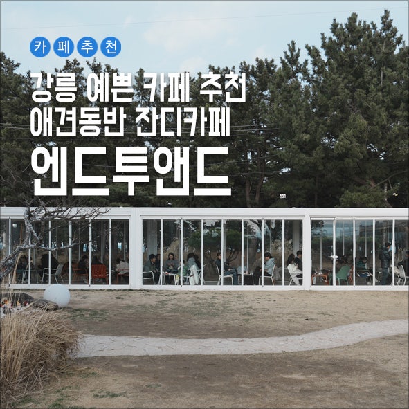강릉 예쁜 카페 추천 애견동반까지 가능한 잔디카페 엔드투앤드 네이버 블로그