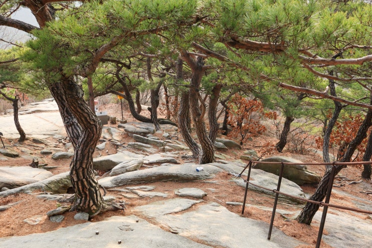 서울 등산 초보 불암산 초보자 등산코스 주차장 정리 네이버 블로그