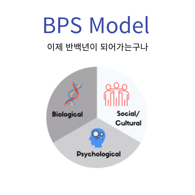 [BPS Model] 이제 반백년이 되어가는구나.. : 네이버 블로그