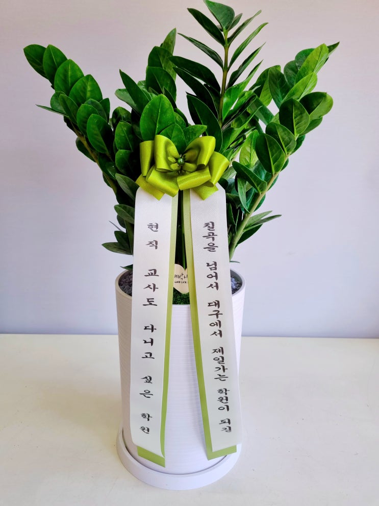 대구 개업화분 대구취임화분대구화분대구승진화분대구영전화분금전수화분교수임용축하화분학원개업화분대구태전동꽃집읍내동꽃집