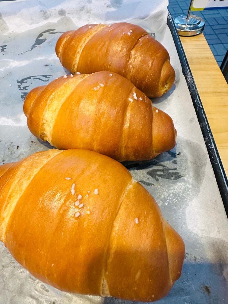 파주소금빵 맛집 베어베이커리 파주베이커리 추천해요 네이버 블로그