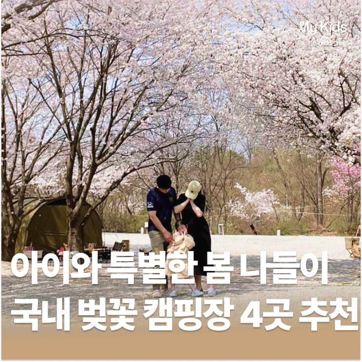 아이와 벚꽃캠핑 봄 나들이 캠핑장 추천 Best 4 예약방법 특징 명당 사이트 총정리 네이버 블로그