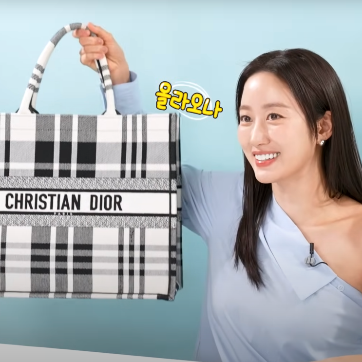 전혜빈 왓츠인마이백 디올 북토트백 라지 사이즈 빅백 여자 명품가방 가격 정보 네이버 블로그