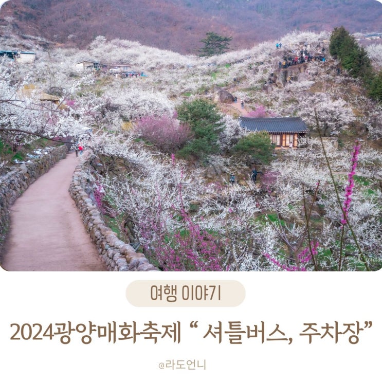 광양매화마을축제 셔틀버스 주차장위치 입장료 네이버 블로그