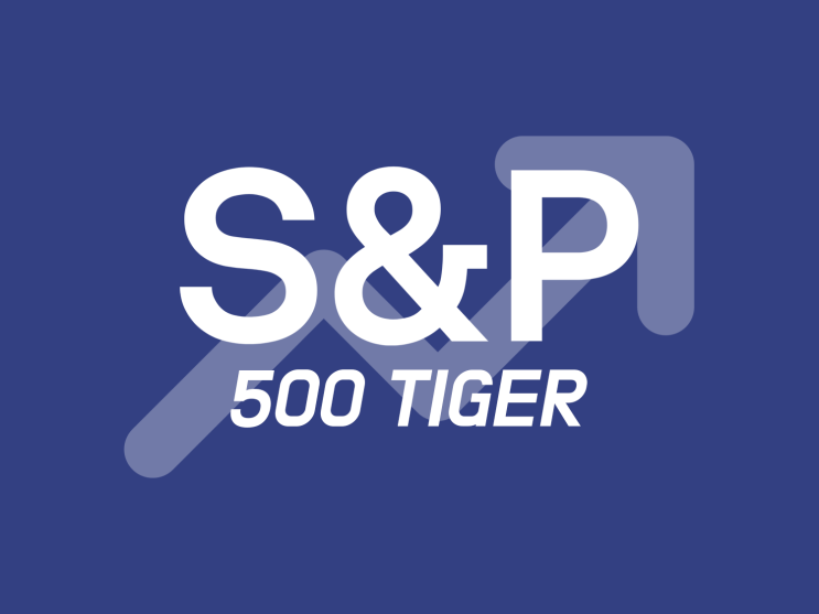 TIGER S&P500 ETF 배당 상반기 주식 정리 : 네이버 블로그