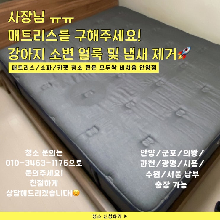 안양 매트리스 청소 범계 매트리스 청소 매트리스 강아지 소변 얼룩 제거 매트리스 강아지 소변 냄새 제거 매트리스 습식 청소 목련