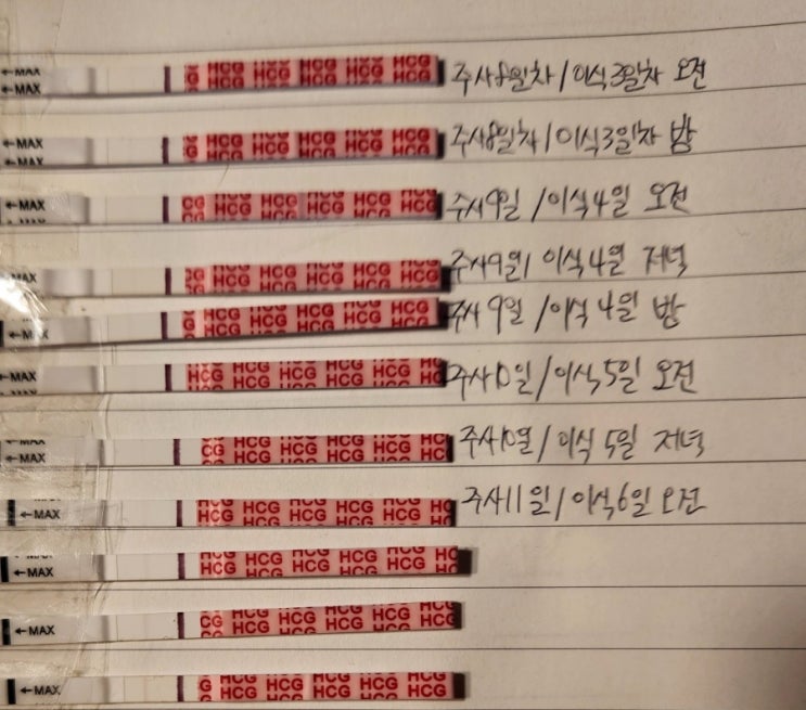 5일배양이식 오비드렐 난포주사영향 언제까지 착상혈 3일차 4일차 5일차 6일차 7일차 흐린 임테기 증상 네이버 블로그