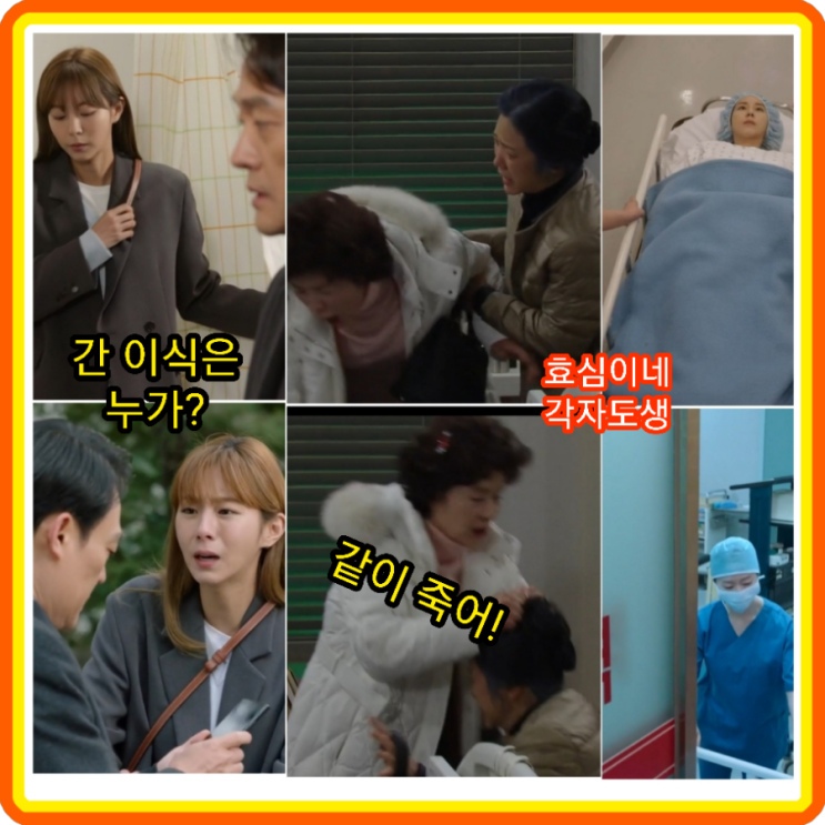 효심이네 각자도생 49회 줄거리 리뷰 결말 49화 선순은 이추련과 미희에게 같이 죽으라고 50회 예고 유이 하준 드라마 김비주 재방송 시청률 태호 효심 숙향 태희 효성 ...