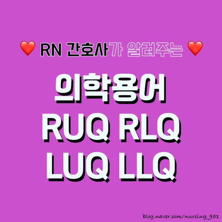 RUQ RLQ LUQ LLQ 의학용어, 복부 구획 위치별 소화기 질환 간호 : 네이버 블로그