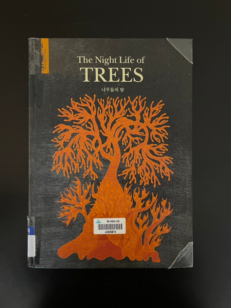 그림책 추천 ㅣ나무들의 밤 The Night Life of TREES : 네이버 블로그