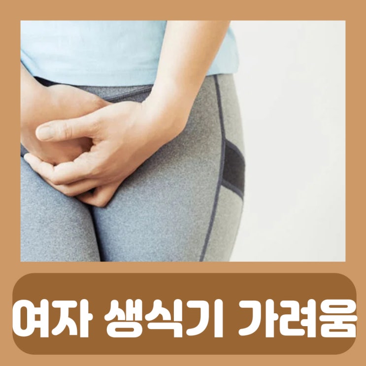 여자 질염 종류 칸디다질염 트리코모나스 질염 증상 원인 약 여자 생식기 가려움 따가움 냄새 질칸디다증 네이버 블로그