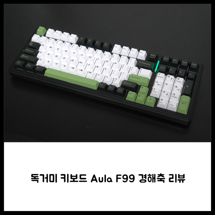 독거미 키보드 Aula F99 경해축 리뷰 : 네이버 블로그