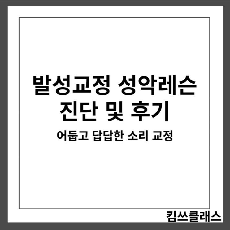 발성교정을 하고 싶으신 음악선생님의 성악레슨 후기 : 네이버 블로그