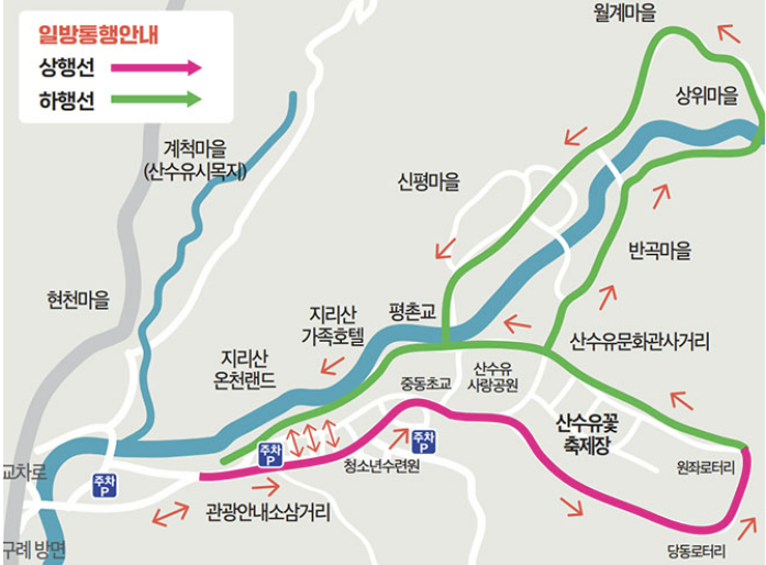 구례 산수유꽃 축제 구례 숙소 후기당연히 내돈내산 뚜벅이 여행 네이버 블로그