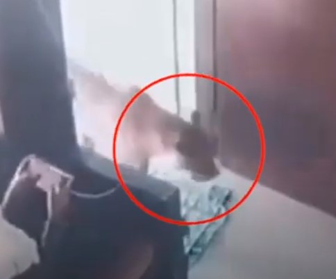 인도 사무실 표범등장 : 네이버 블로그