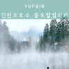 유후인 긴린코호수 물안개 보고 플로랄 빌리지 관광 네이버 블로그