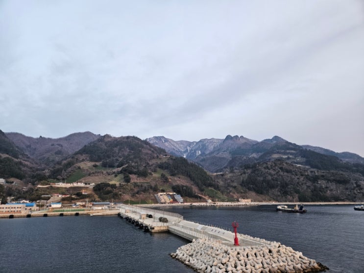 시삼백 646.파초우(芭蕉雨)_조지훈 : 네이버 블로그