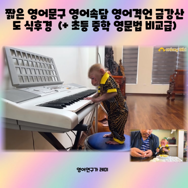 짧은 영어문구 영어속담 영어격언 금강산도 식후경 (+ 초등 중학 영문법 비교급 영어독학) ! : 네이버 블로그