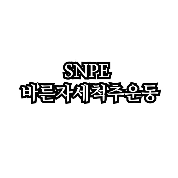 [센텀snpe]SNPE 모든 것(A-Z) 시리즈 |SNPE 핵심 원리 2가지를 공개합니다. : 네이버 블로그
