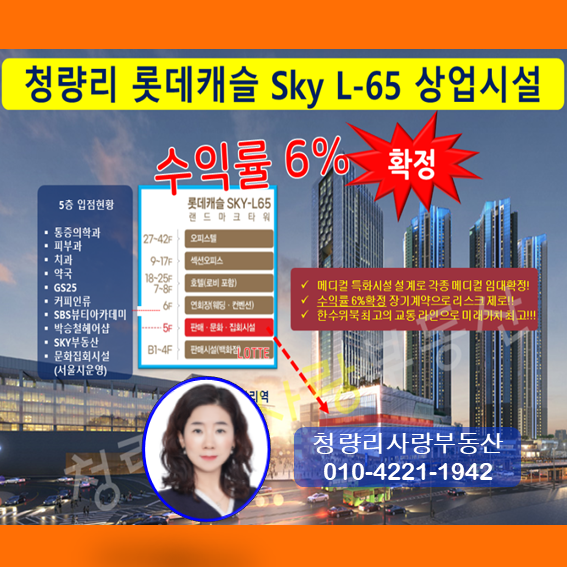 [청량리역상가] 청량리역롯데캐슬SKY-L65 랜드마크타워 상가 수익률 6% 실화입니까?(feat:청량리사랑부동산) : 네이버 블로그