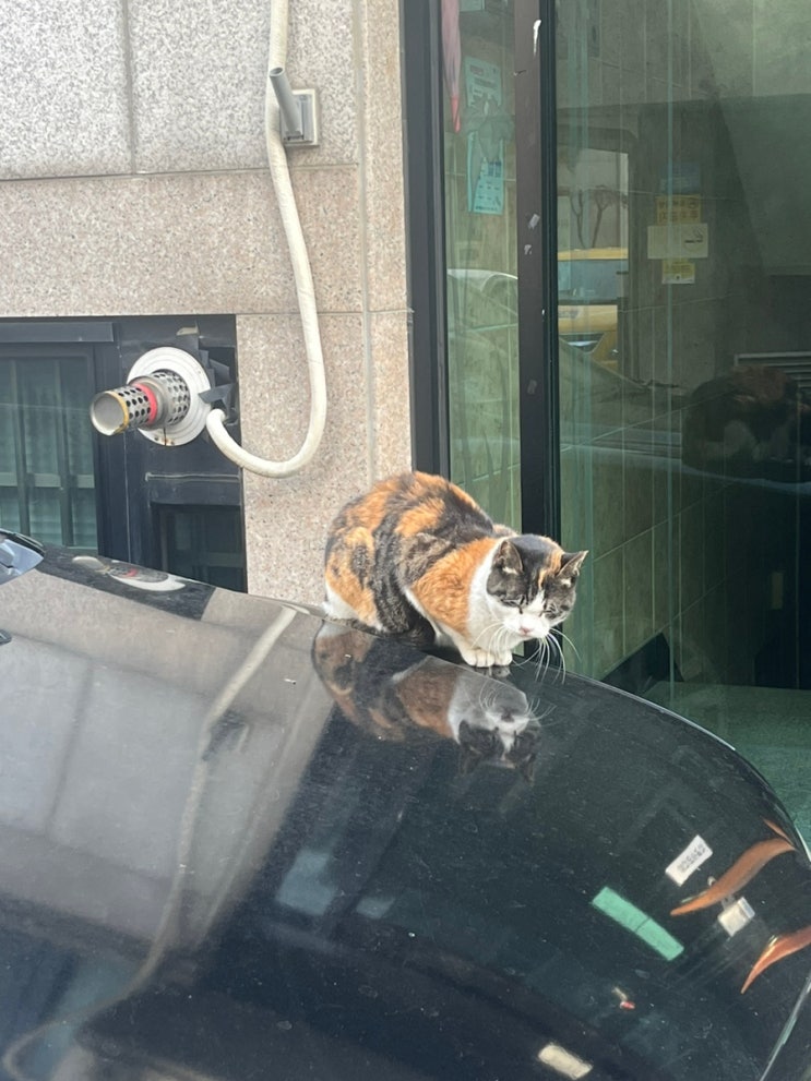 모두가 다 가지고 있는 생각, : 네이버 블로그