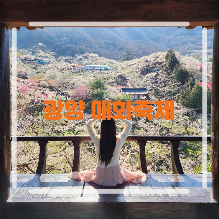 전남 광양 매화마을 가볼만한곳 매화축제 실시간 명소 주차장 개화시기 네이버 블로그