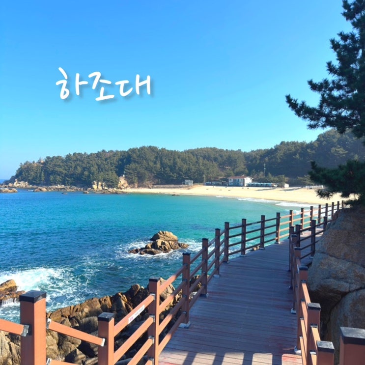 강원도 여행지 추천 양양 하조대 둘레길 전망대 주차장 시간 네이버 블로그