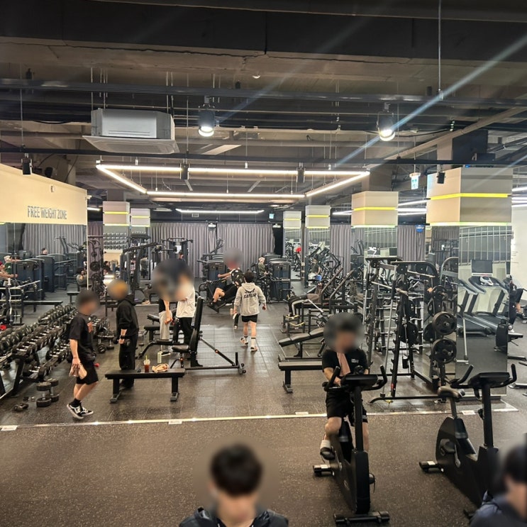 대전 600평대 프리미엄헬스장 팀터틀렛 갈마점 네이버 블로그