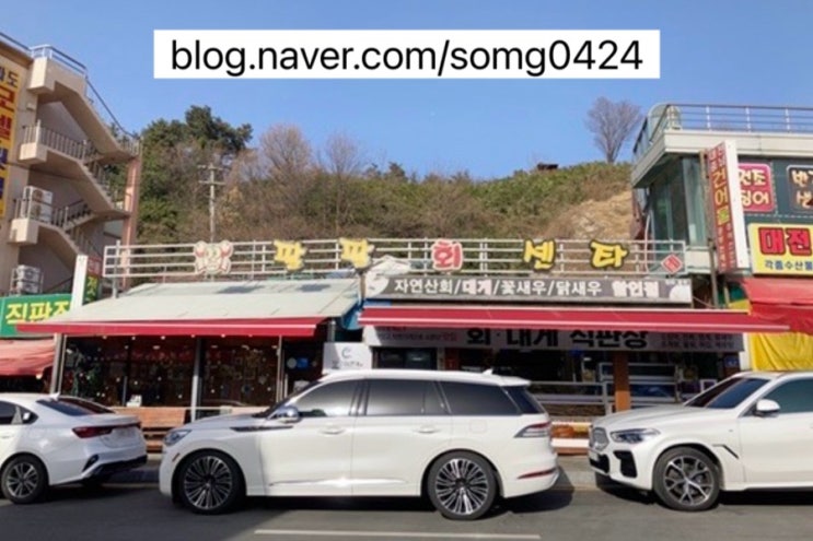 대포항 맛집 추천 가성비 좋은 횟집 스끼다시가 잘 나오는 맛집 추천 속초 팔팔 회 센타 네이버 블로그