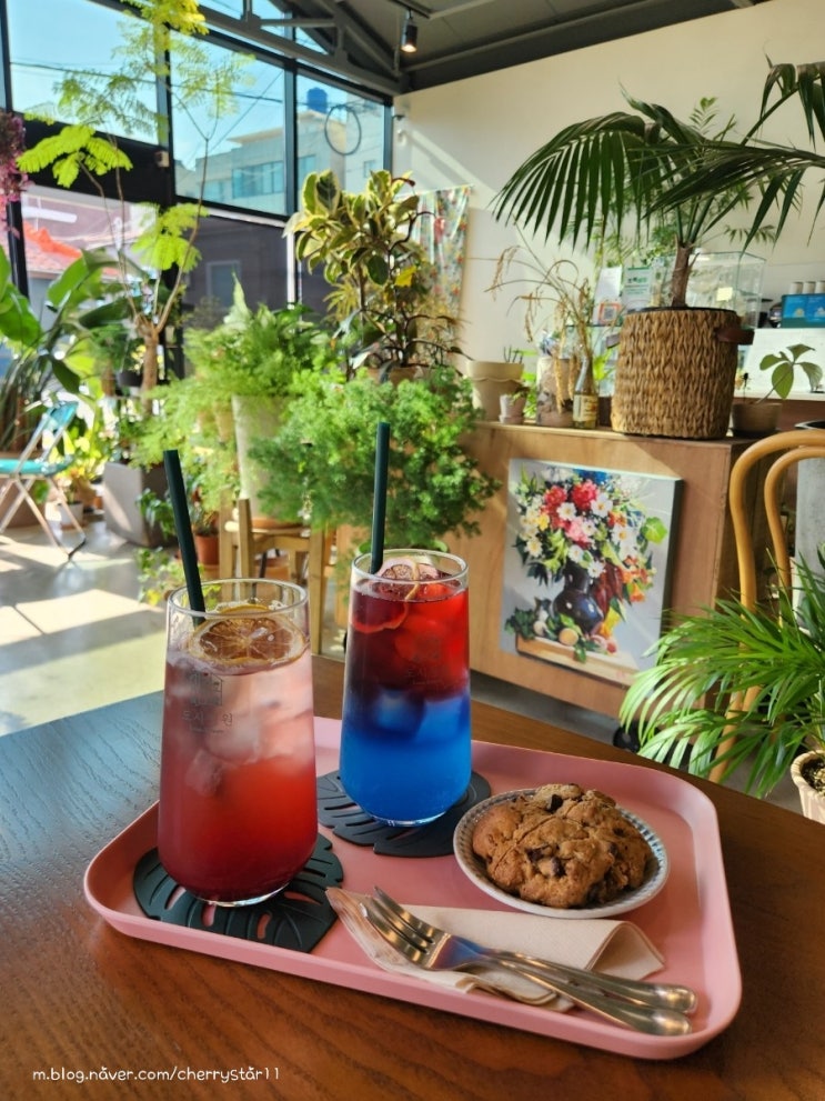 마산 카페 초록 식물과 이색 음료로 힐링하기 ♡도예 수업 플라워 클래스도 가능 네이버 블로그