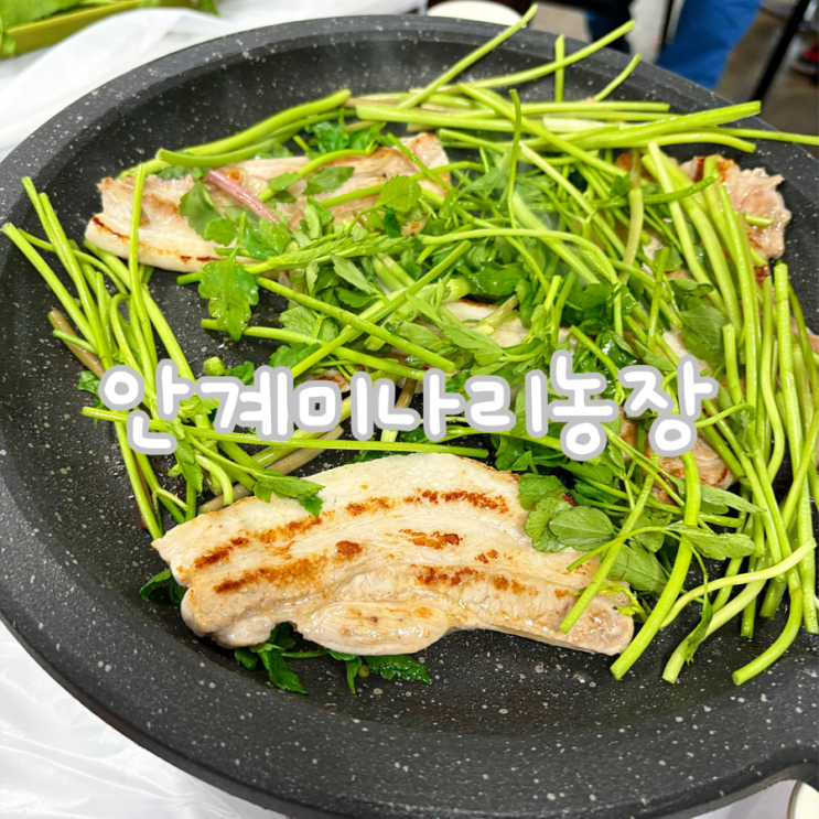 포항 N번째 방문한 곳 미나리삼겹살맛집 지금 먹어야 돼요 안계미나리농장 네이버 블로그