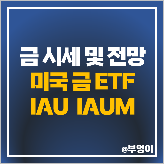금투자 방법 미국 금ETF IAU IAUM 오늘의 국제 금 시세 전망 : 네이버 블로그